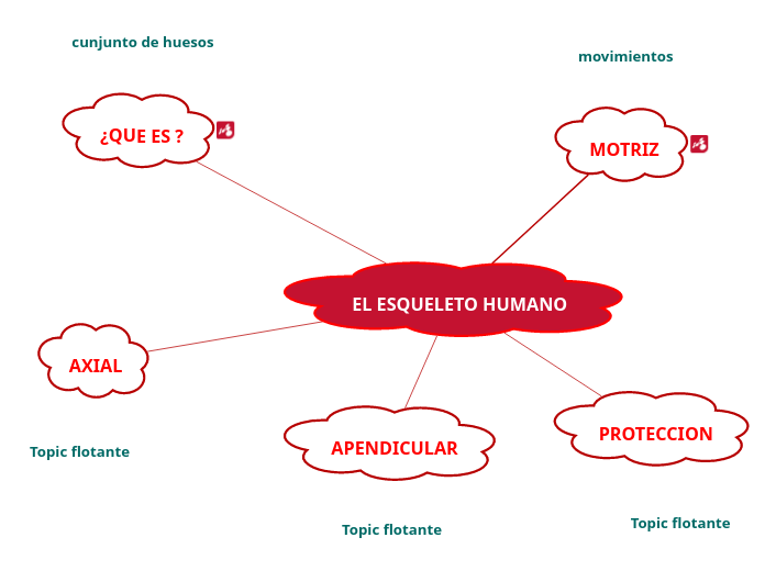 EL ESQUELETO HUMANO - Mind Map